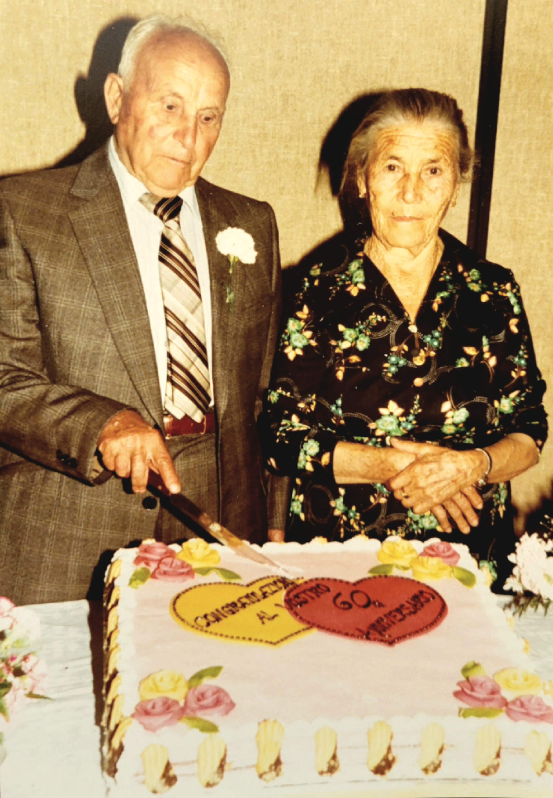 Immigrant Map – Villa Charities Italian Canadian Immigrant Tribute